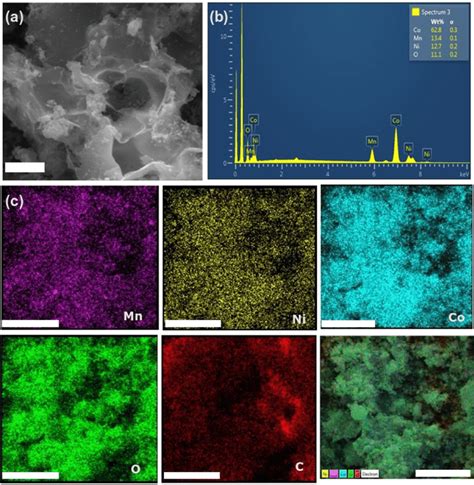 a sem image scale bar 10 μm b eds and c elemental mapping of