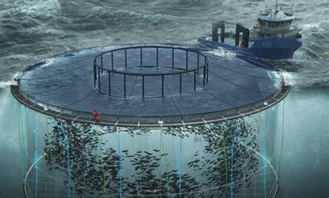 Aqualine Canada Project To Construct 10 Sea Cages For Mowi Salmonbusiness