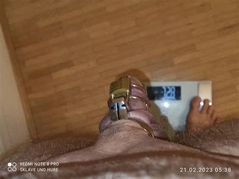 Weighing Cagecheck Pee Clamps 21022023 14 Pics Xhamster