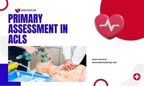 Primary Assessment In Acls Key Steps For Immediate Care
