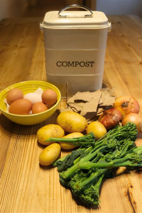 What To Put In Your Compost Bin And What To Leave Out