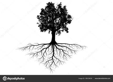 Wide Tree Silhouette