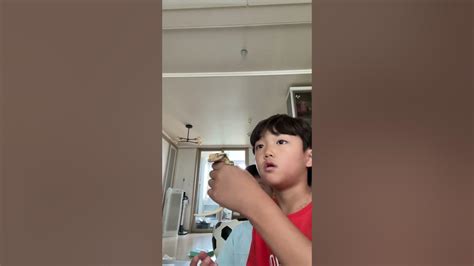 크리스티드게코 도마뱀 레오파드게코 조단 정브로 파브로2세 파충류 파충류키우기 Youtube