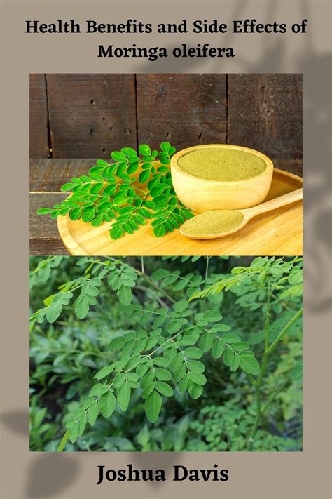 Health Benefits And Side Effects Of Moringa Oleifera 電子書籍 作：joshua