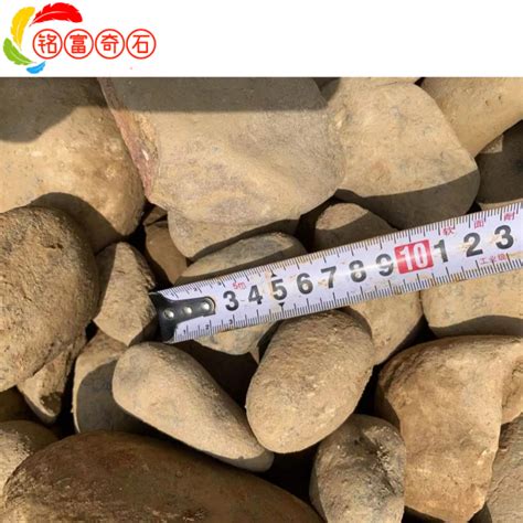 铺地石材经济实惠广东鹅卵石批发厂家创景奇石现货 哔哩哔哩