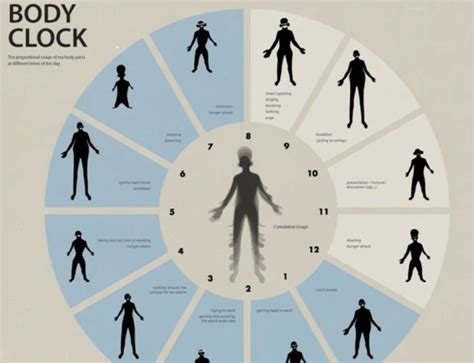 生物钟是什么意思 百度经验