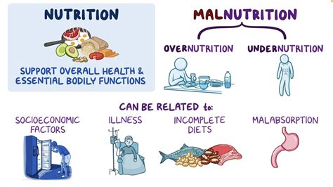 Malnutrition Video Causes And Meaning Osmosis