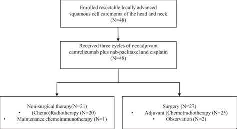 A Single Arm Phase Ii Clinical Trial Finds Neoadjuvant