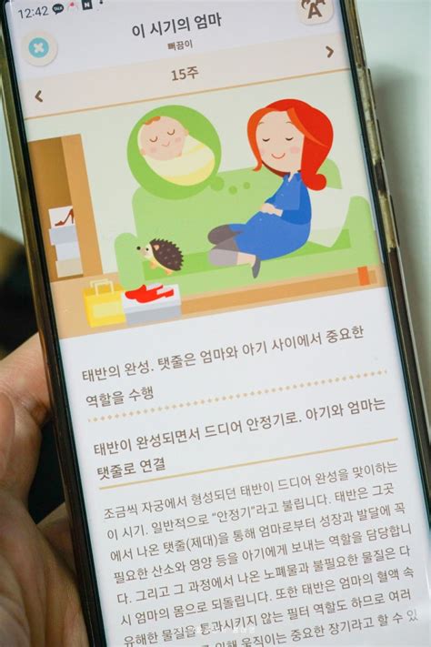 태아 성별확인 시기 아기 임신 15주 16주 경험 네이버 블로그