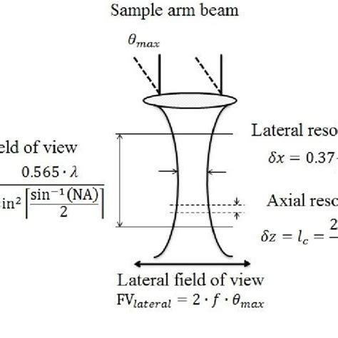 A Generalized Human Cell Marieb 1995 Download Scientific Diagram