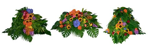 흰색 배경에 고립된 잎이 있는 다양한 꽃과 잎의 그룹입니다 결혼식과 사랑을 위한 봄꽃의 창의적인 아이디어 0명에 대한 스톡 사진 및 기타 이미지 Istock