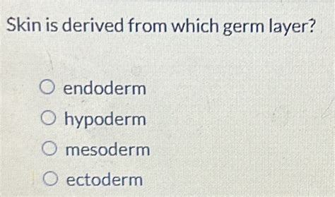 Solved Skin Is Derived From Which Germ Layer Endoderm Hypoderm