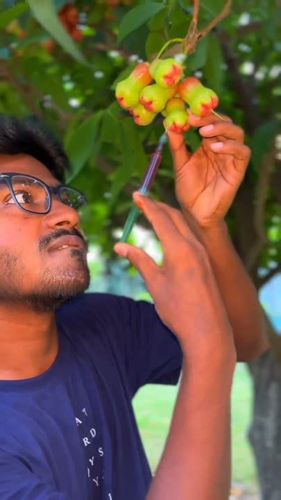 O Maahi 😍 Shorts Viral Trending Youtube
