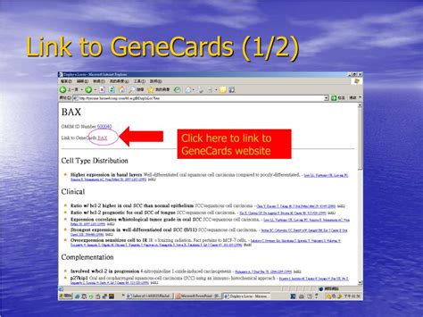 Ppt Introduction To Oral Cancer Gene Database Powerpoint Presentation