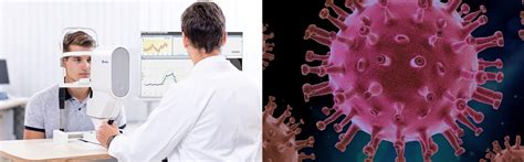 Imedos Leading Technology For Dynamic Vessel Analysis Analyze