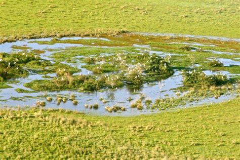 Asociacion Ecologista Rio Mocoreta El Parque Ibera Permanecera Cerrado