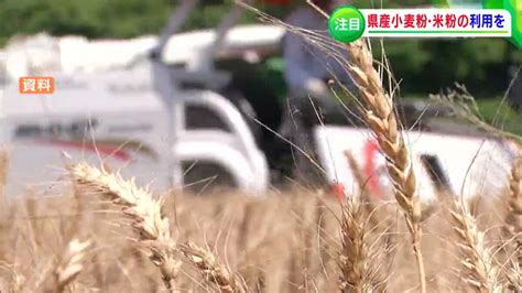 「今こそ国産小麦！」輸入小麦の価格高騰の中、県産小麦・米粉使用のうどん・パン・洋菓子を試食【岡山】 Tbs News Dig