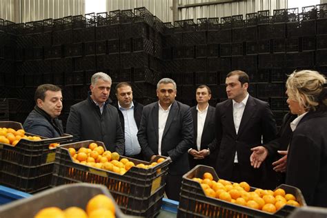 ოთარ შამუგია ციტრუსის გადამმუშავებელ საწარმოში საწარმოო პროცესს გაეცნო