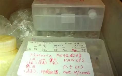 加州破獲非法生物實驗室 發現新冠病毒、愛滋病等傳染源 疑與中國有關 Yahoo奇摩汽車機車