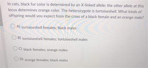 Solved In Cats Black Fur Color Is Determined By An X Linked Chegg