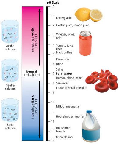 Chemistry Acids And Bases Flashcards Quizlet