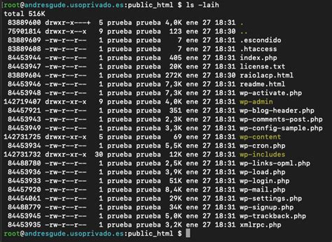 Los mejores comandos de Linux básicos y avanzados