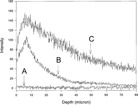 Profile Of Fitc Labeled Lysozyme Penetration Into Poly Hemaco Maa Download Scientific Diagram