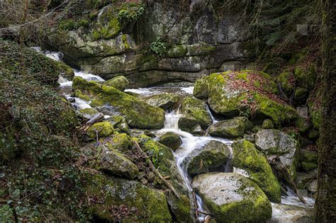 穿越荒野的徒步旅行