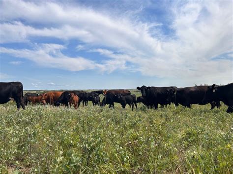 Sergio Lasso On Linkedin Everyone Is Fine After Receiving Growth Implant