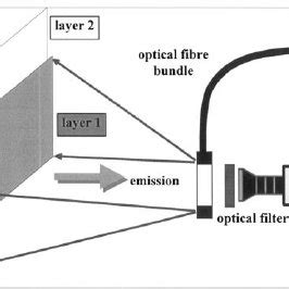 Schematic Overview Of The Modular Luminescence Lifetime Imaging System