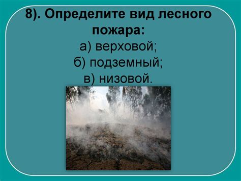 Правила поведения при пожарах в лесу презентация онлайн
