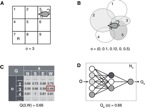 Figure 3 From Hippocampal Replays Under The Scrutiny Of Reinforcement