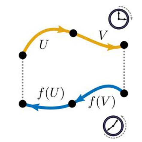 Experimental Superposition Of A Quantum Evolution With Its Time Reverse