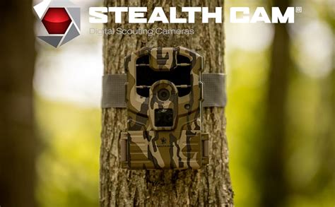 Stealth Cam Prowler Trail Camera 16mp 2 Pack Sports