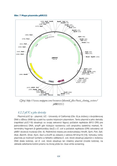 In Silico Veritas Ii Bhidemangesh Pagina 131 Pdf Online Pubhtml5