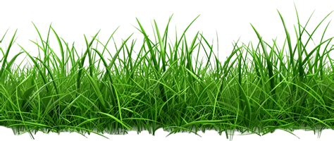 Grass Png Pngs For Free Download