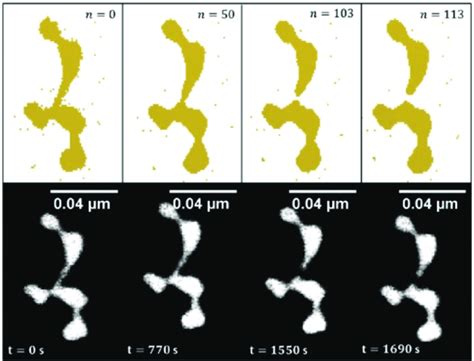Time Evolved Surface Diffusion Process Of A Gold Nanowire At 150 1c