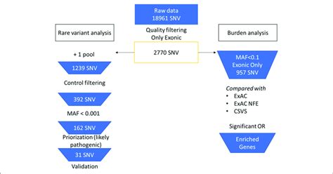Flowchart Of The Bioinformatic Analysis On The Left Branch Rare Download Scientific Diagram