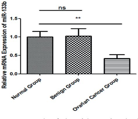 Figure 1 From Mir 133b Regulates The Expression Of Ctgf In Epithelial