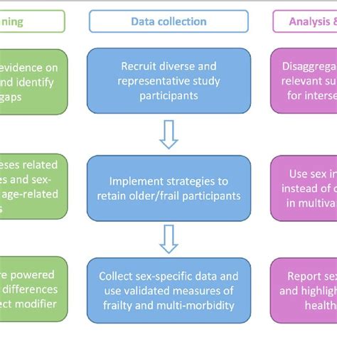 Roadmap For Sex Responsive Vaccinology Research In Older Adults Download Scientific Diagram