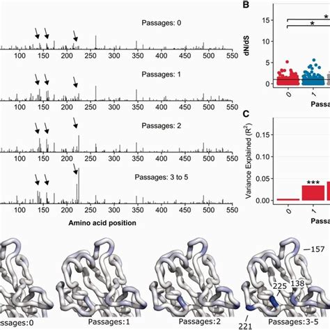 Schematic Of Influenza A Virus Sequence Collection And Analysis A