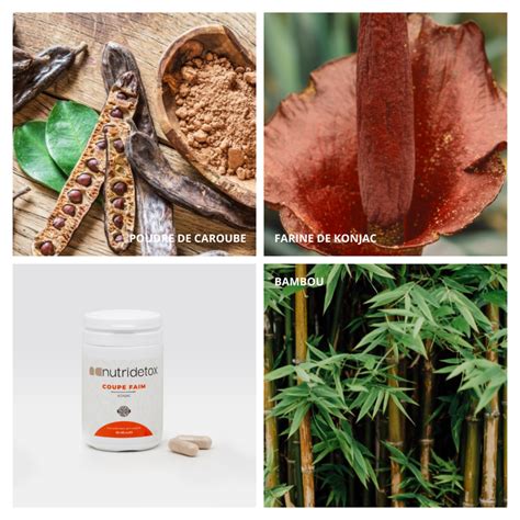 Coupe Faim Konjac X3 Nutridetox Minceur Homme