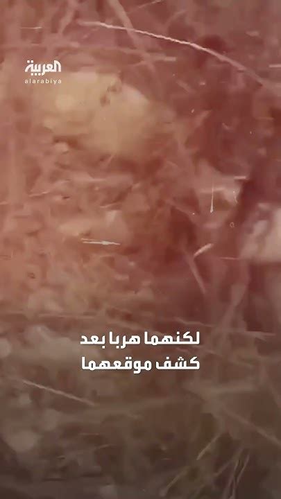 الجيش الإسرائيلي ينشر فيديو قال إنه لعنصرين من حزب الله حاولا تنفيذ