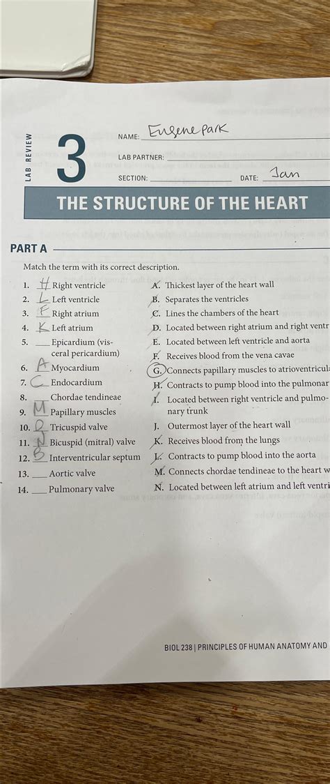 Solved Nameensene Parklab Partnersectiondatejanthe