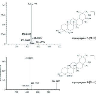 ESI QTOF MS MS Spectra Of Soyasapogenols A And B In The Positive Ion