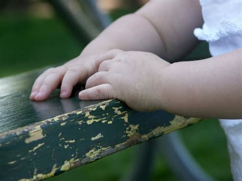 Small Hands Picture Image 1085786