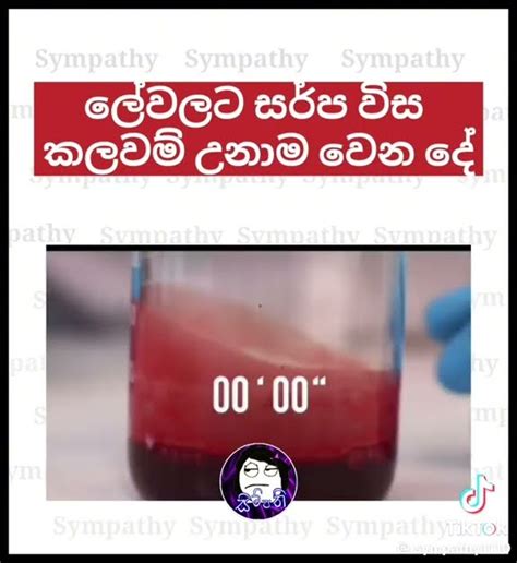 මේ බව ඔබ දන්නවාද😳😒 Youtube