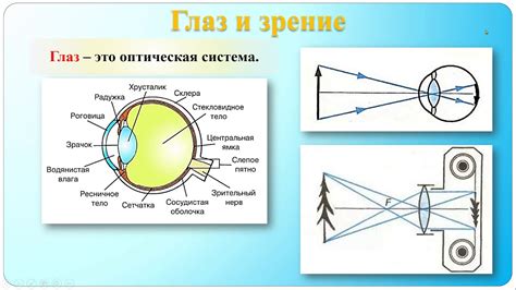 Глаз и зрение Очки Youtube