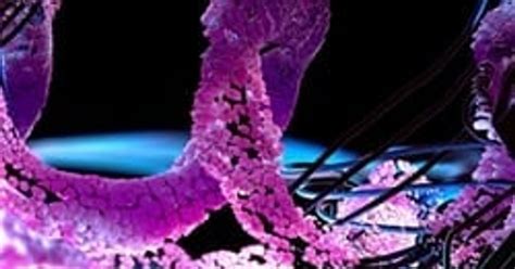 Post Translational Modification Research Offers New Insights Into