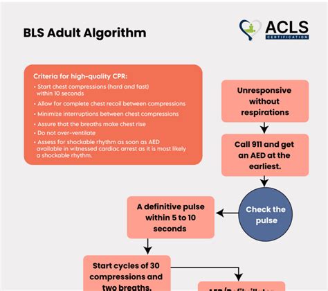 Pediatric Bls Algorithm Aclsnow